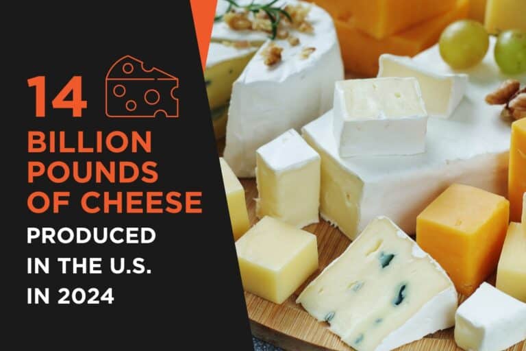 How to Ship Cheese: The Basics of Cheese Transportation